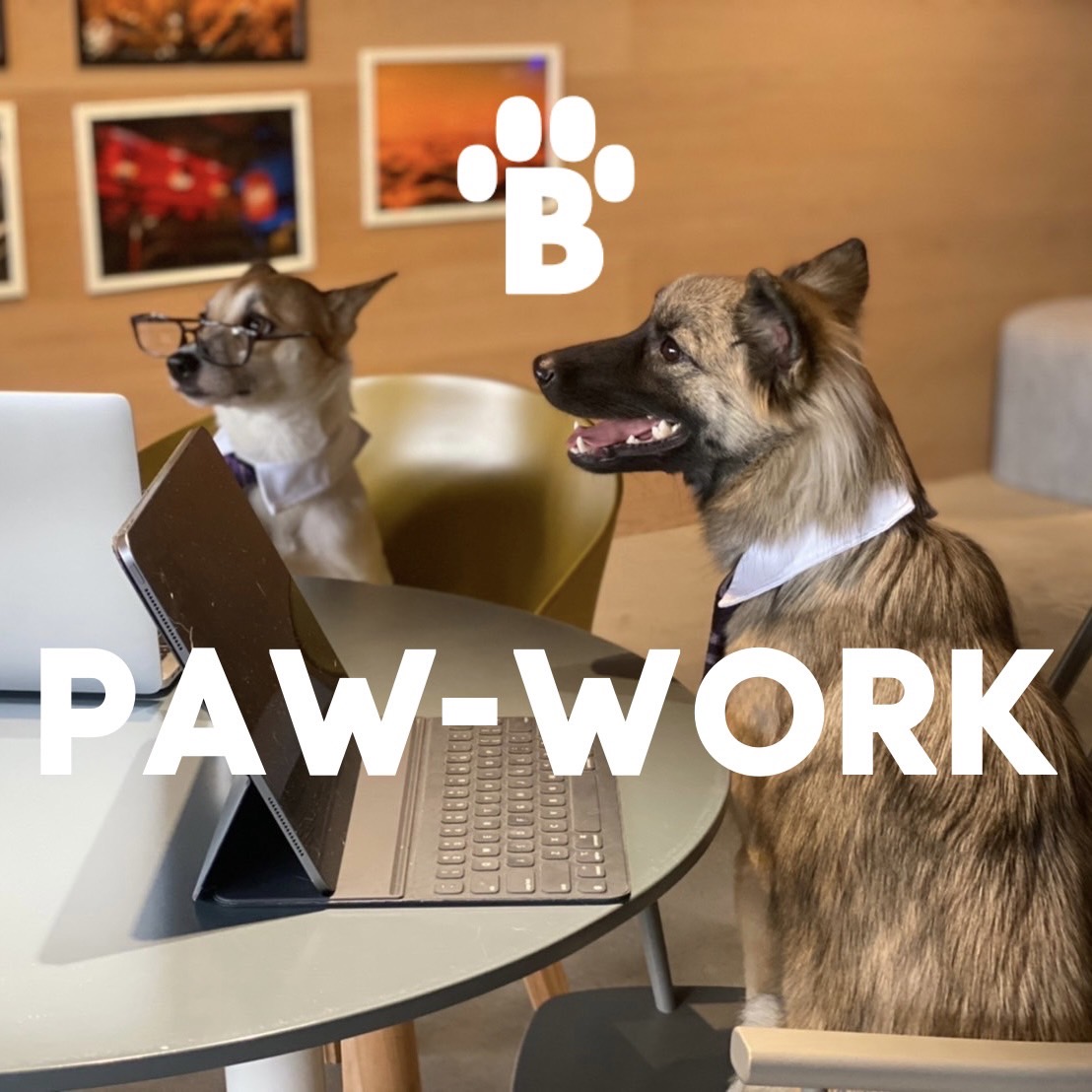 PAW-WORKING_JP