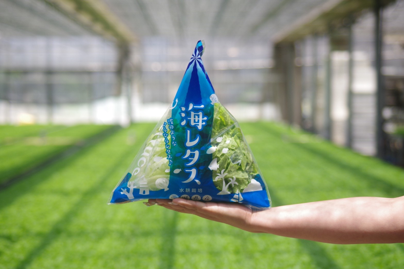 農事組合法人ファーム八千代